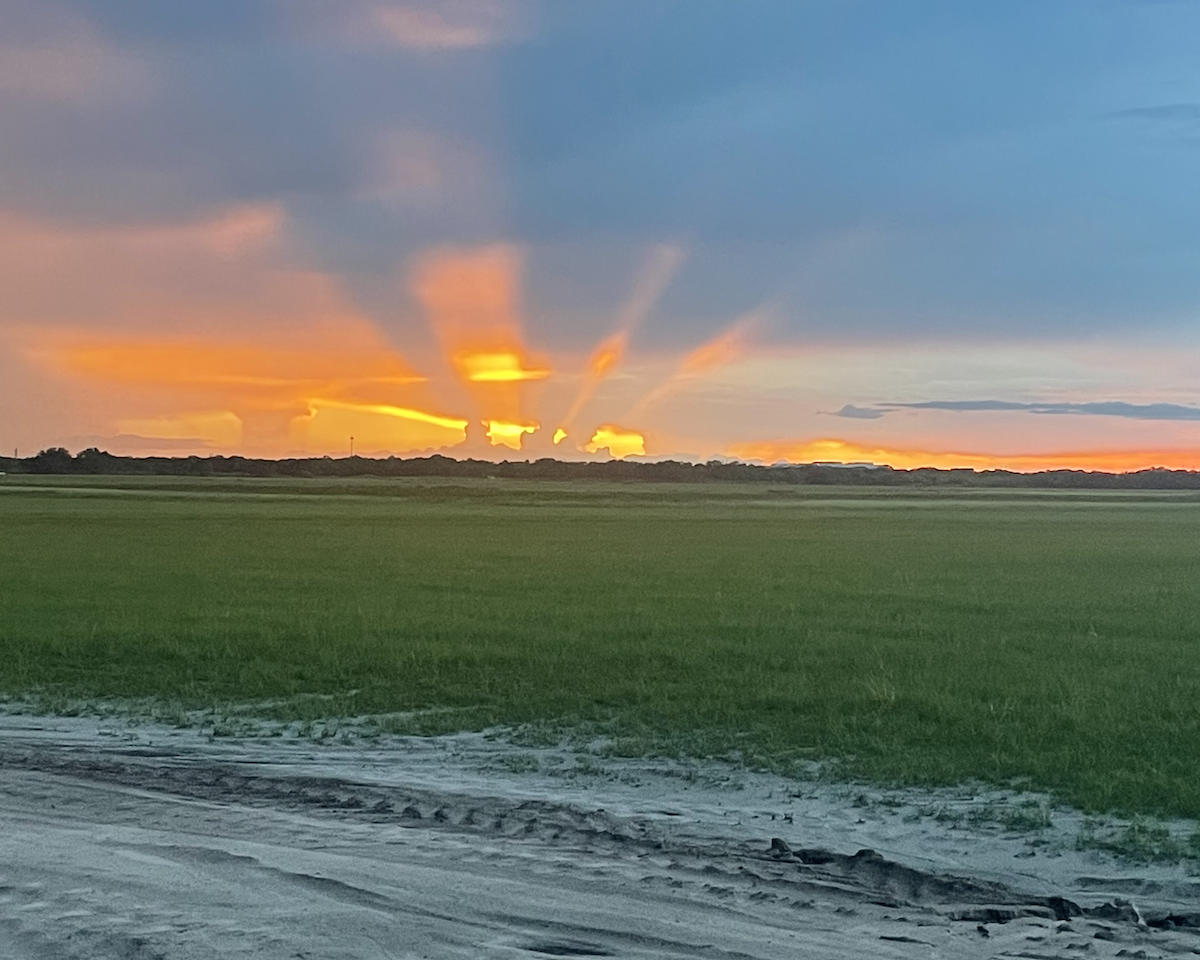 Hudson Ranch Sod - Your Trusted Source for Quality Sod in Arcadia